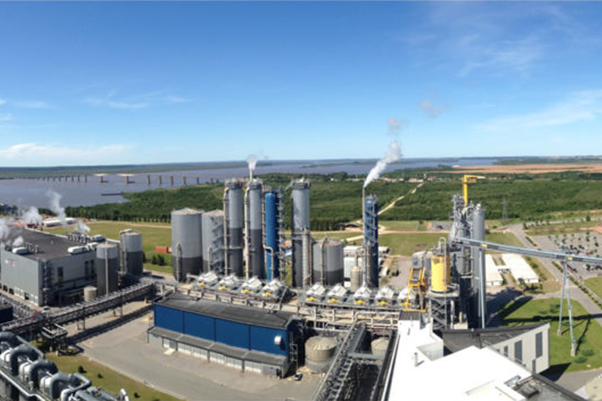 Uruguay marchará contra la instalación de UPM2 en el Día Mundial del ...